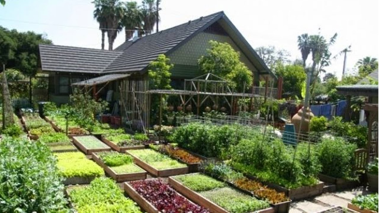 Como montar uma horta - Arte Vegetal